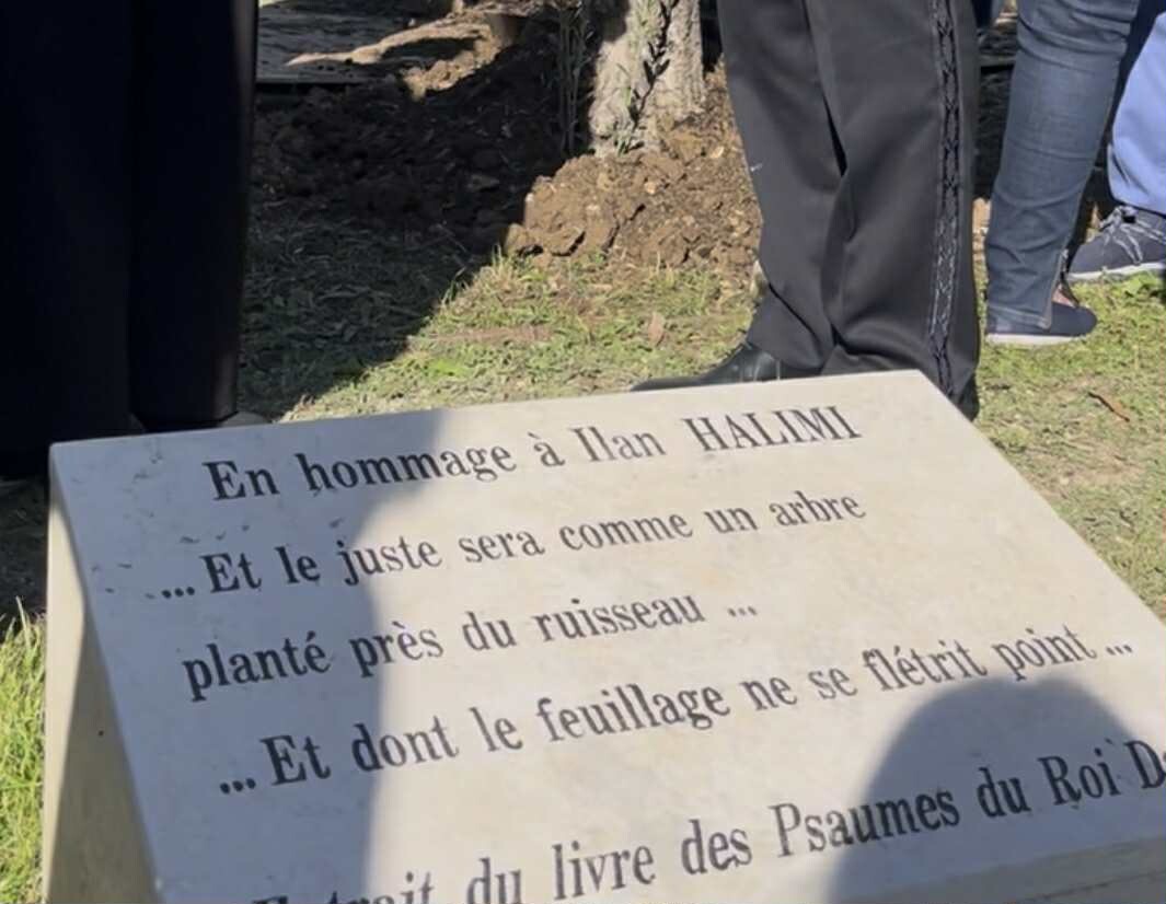 Arbre d'Ilan Halimi : appel après relaxe antisémite - Streetart Paris